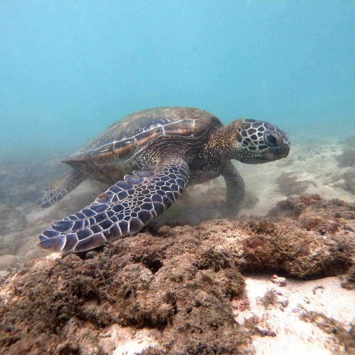 Best Small Group Oahu North Shore Activities Package Tour from Waikiki ...