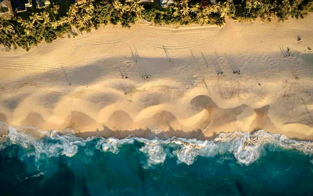 Best Small Group Oahu North Shore Activities Package Tour from Waikiki ...