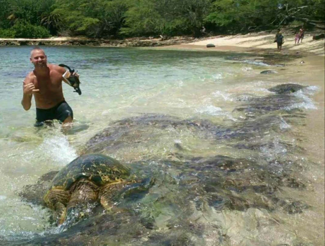 Best Small Group Oahu North Shore Activities Package Tour from Waikiki ...